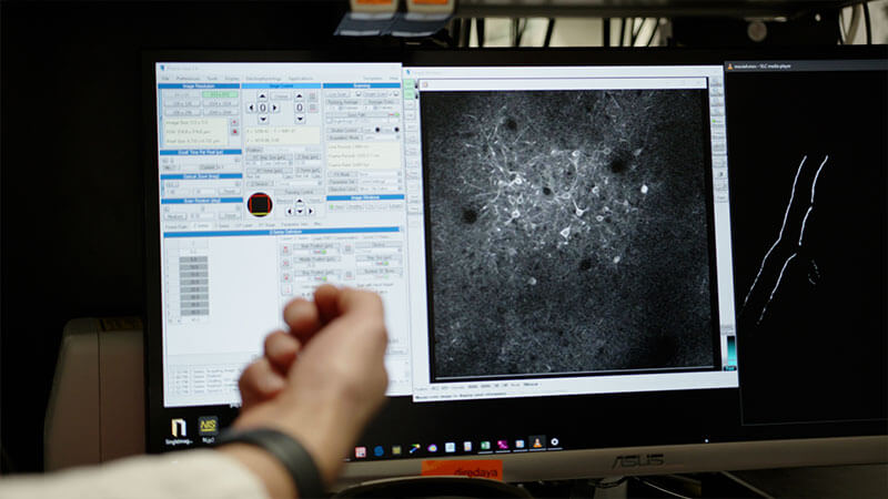 Where Discovery Creates Hope - University of Minnesota